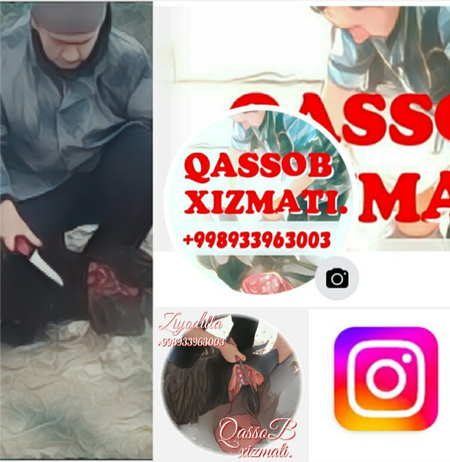 Qassob Қассоб сўйиб бериш хизмати.