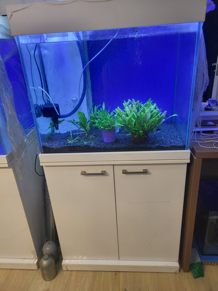 Akvarium sotiladi.