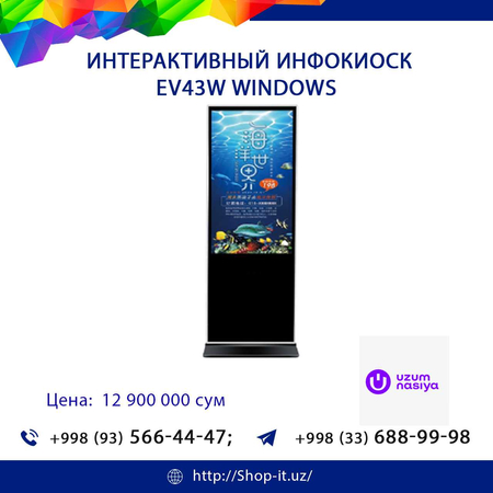 Интерактивный инфокиоск EV43W Windows