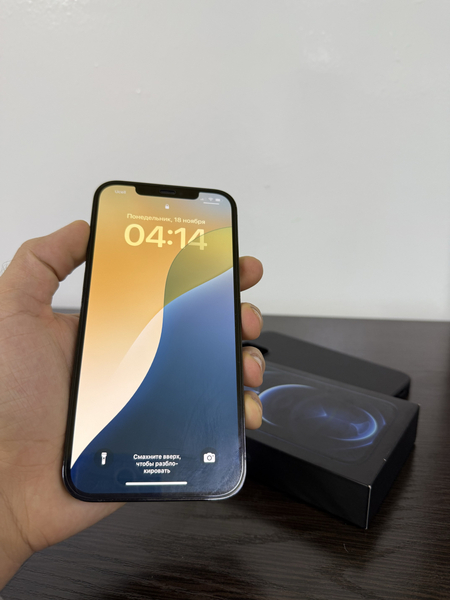 iPhone 12 Pro Max 256