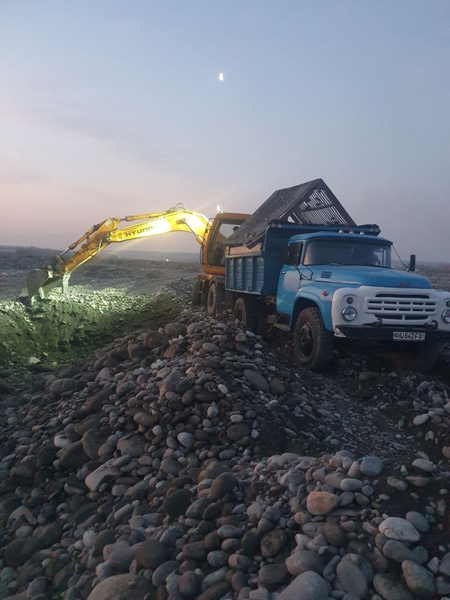 Газел йили 84