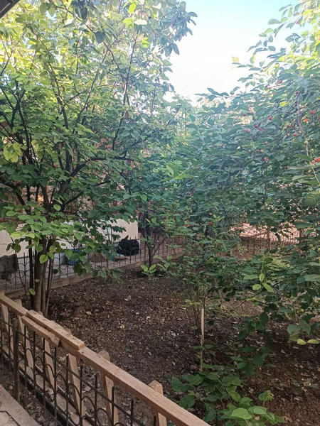 Просторный кирпичный дом в Мирабаде с баней и огородом, тихая махаля