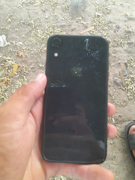 Iphone XR 64gegabayt