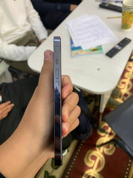 iPhone 13 pro hamma joyi radnoy 100%