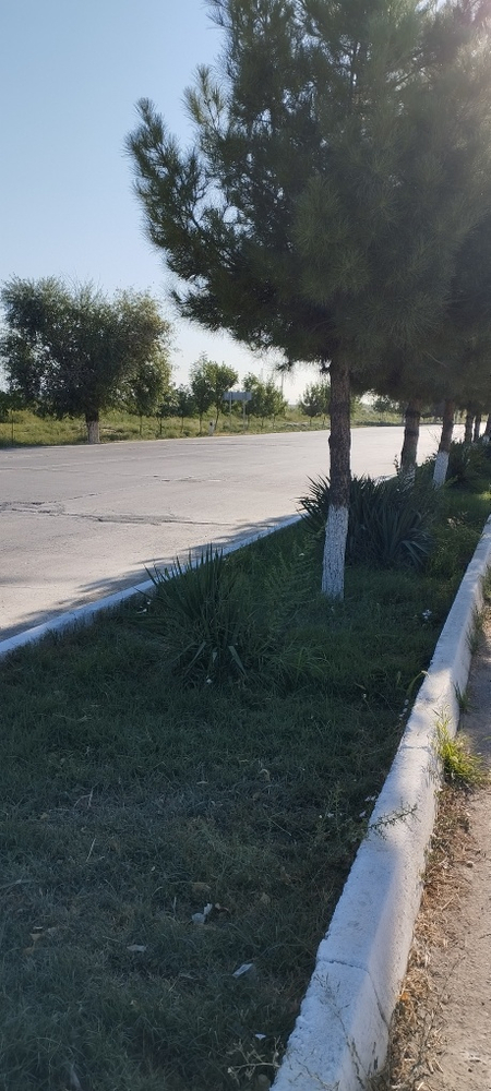 Ховли сотилади умид посёлокда