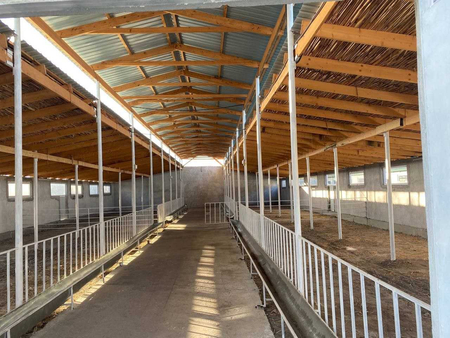 Продаётся ферма комбинированная (овчарня и крупного рогатого скота)