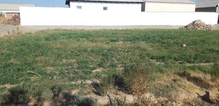 Yer sotiladi 6 sutok Jarqo‘rg‘on Dam mahallasi