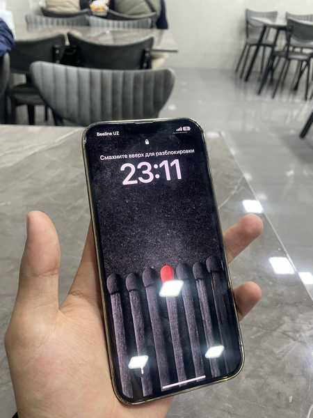 Iphone 13 Pro Max 256