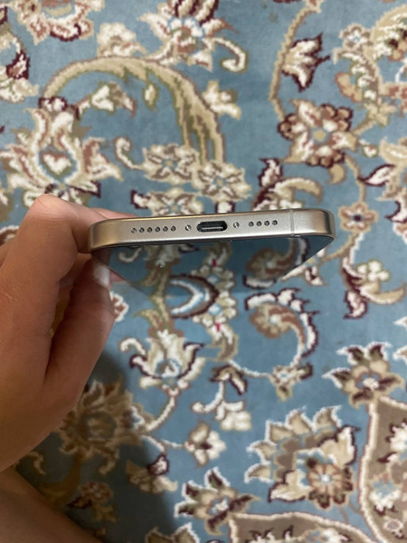 15 Pro Max 256GB