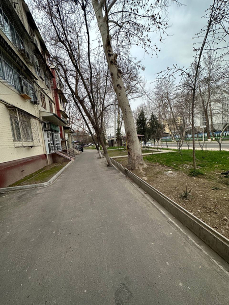Продаётся своя  Под офис  Чиланзарский  район 14кв 6м фасад