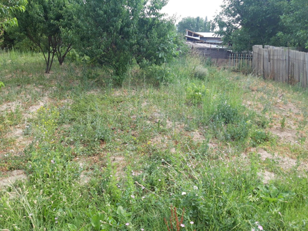 Dacha uchun yer sotiladi