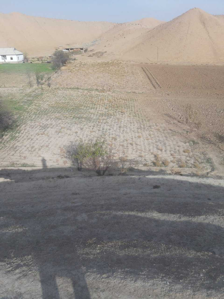 Sotiladiga yer agorot