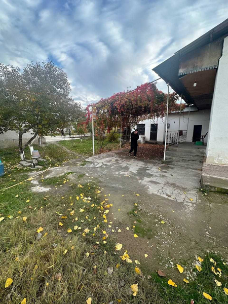 Nurafshon uylari