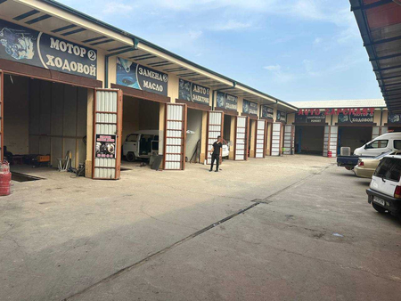 Motorist, hadovoy, zameno masla, daromad 8-10 million atrofida