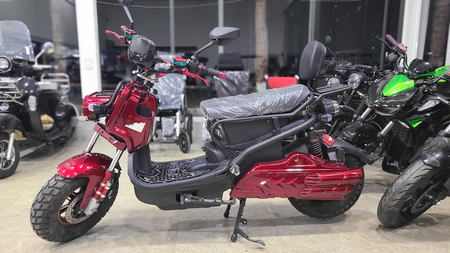 Wasat Sport Model Xarbiy