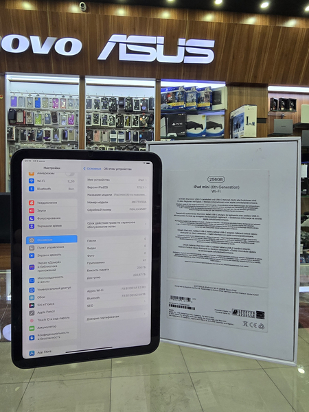 iPad Mini 6 256Gb