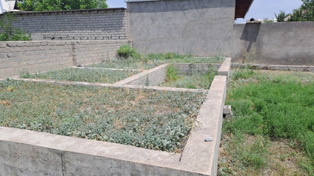 6 suthli uchaska zur joyda joylashgam sotiladi