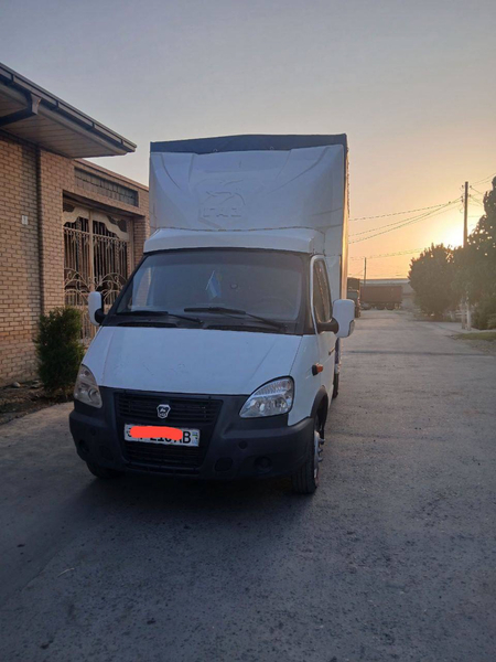 Gazil holati zur alo