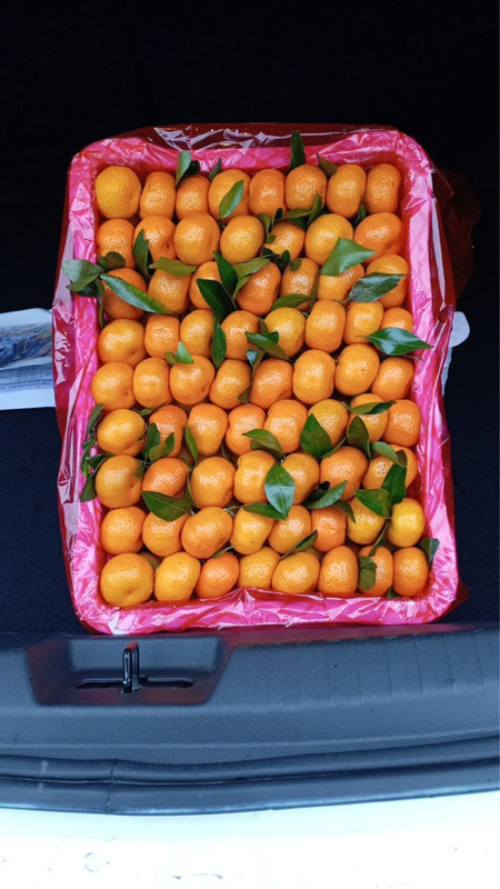 Mandarin Sifatli