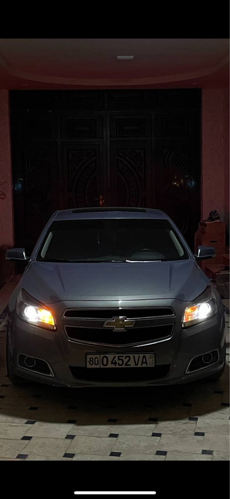 malibu 1  ideal 100%javob