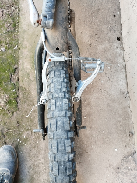 Velik xolati orta 150 kg odammi bemalol kotaradi