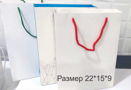 Пакет, заготовка пакета, пакет с лого, пакет брендированный,