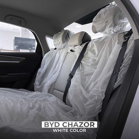 Byd chazor dm-i 110km