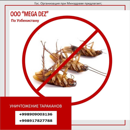 OOO “MEGA DEZ” быстро избавит Вас от всех грызунов и насекомых!!!