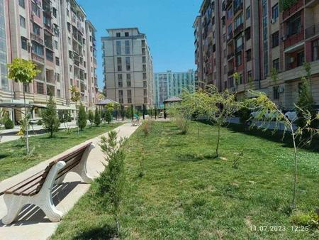 Сдаётся 4/6/9 улица Махтумкули, ориентир парк Ашхабад ID: 54513