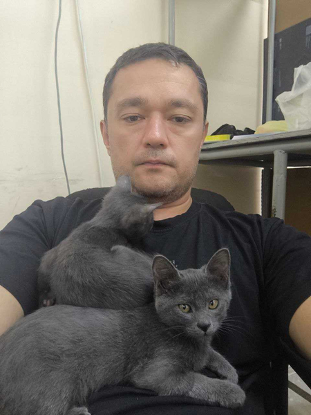 Отдадим котёнка  в добрые руки