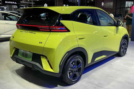 Byd seagul arenda s vikupom