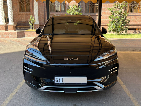 BYD Champion рестаилинг