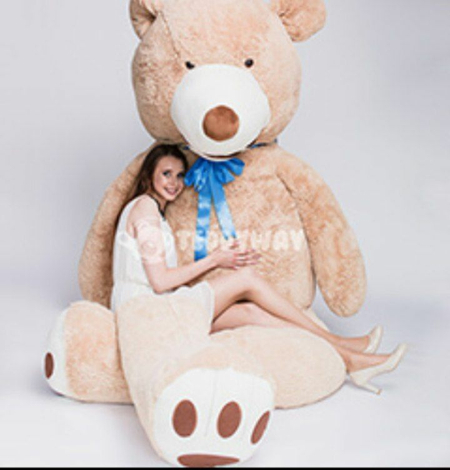 Teddy  ayiqchalar
