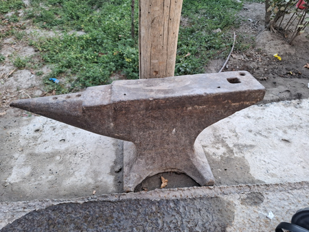 Сангдон Sangdon 56 sm