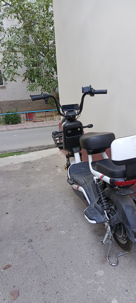 Bongo modeli.Made in china