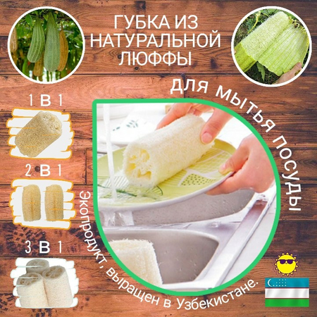 Губка из  