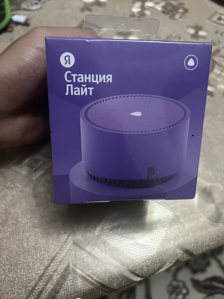 Станция лайт (алиса умний калонка
