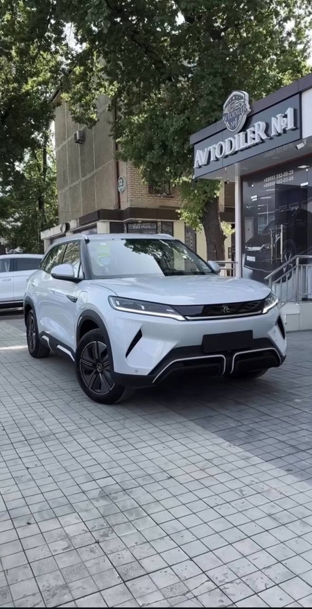 Byd Yuan up 2024