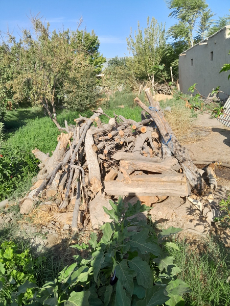 Утин, кунда, тароша