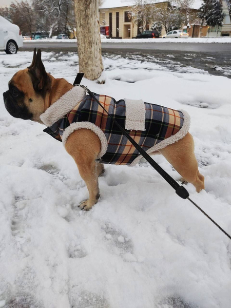 Одежда для собак (на заказ )