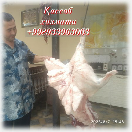 Qassob Кассоб Қассоб ҳизмати.
