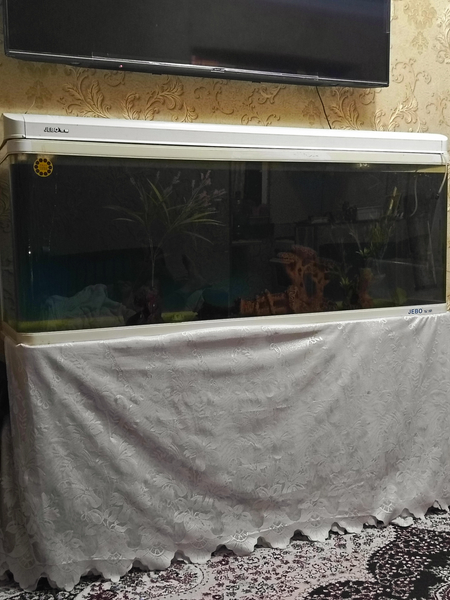 Srochna prodayotsa akvarium