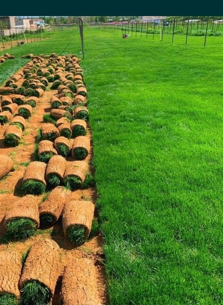 Установка для газоны