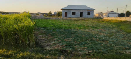 Yer uchastkasi. Hovli