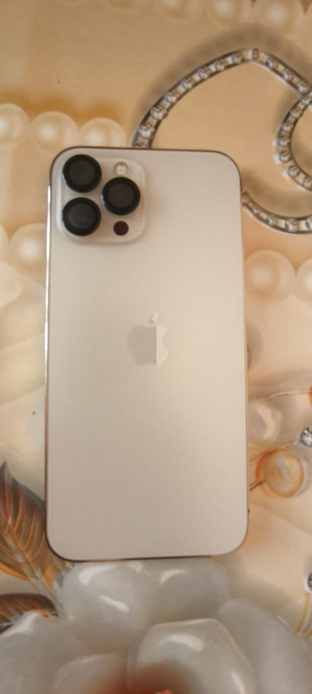Iphone12 pro max