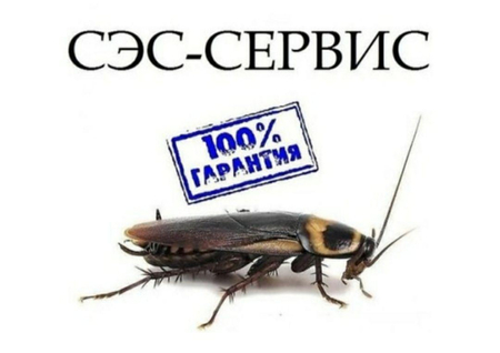 Дезинфекция от клопов и тараканов