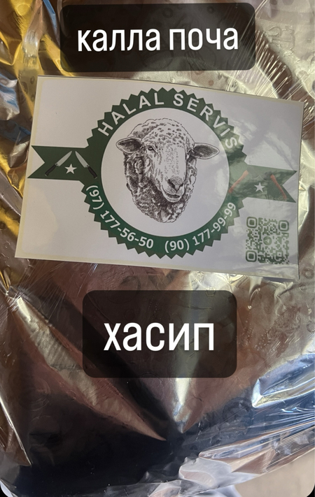 Тирик қўйлар, қассоб, калла поча, хасип.