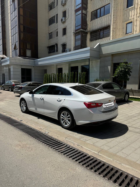 Rent car. Prokat afto