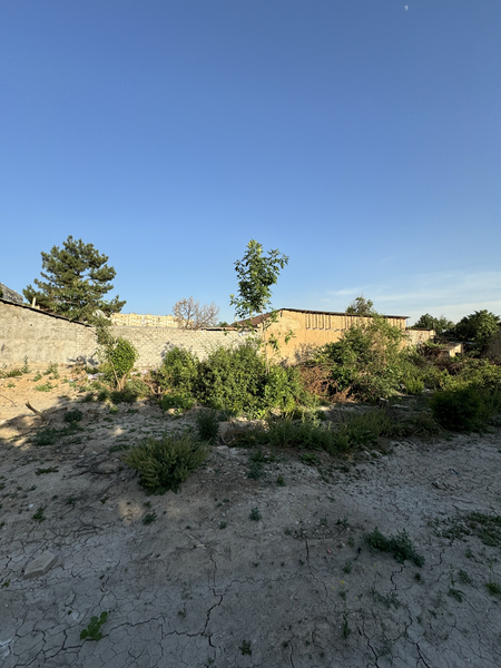 Yashnabod Tumani Parkentskiy Bozor Orqasi