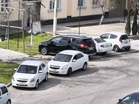 Kia carnival 2018-yil